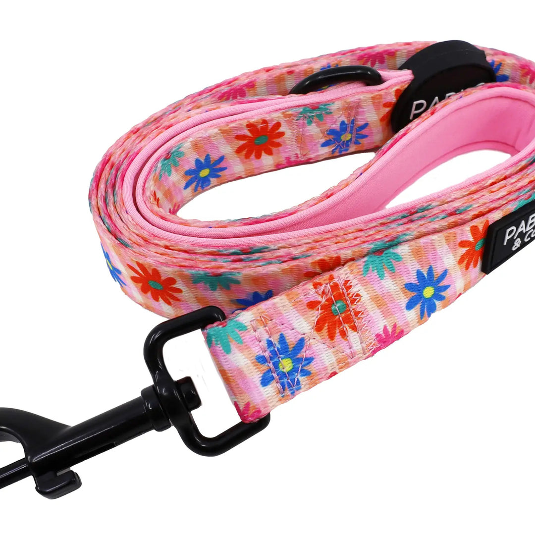 Boutique Gift Store | Gift Giving Made Easy – Unveiling Poppy