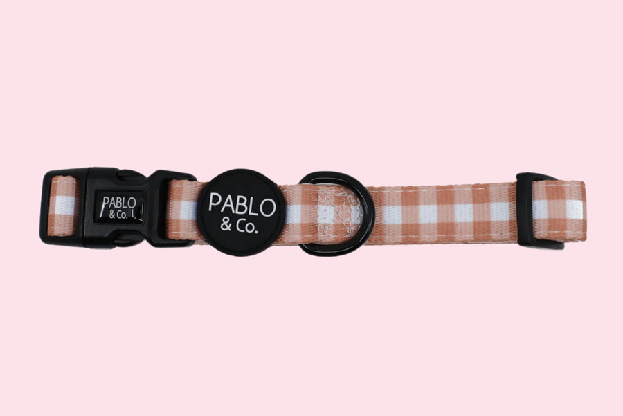Pablo & Co Boutique | DOG ACCESSORIES – Unveiling Poppy