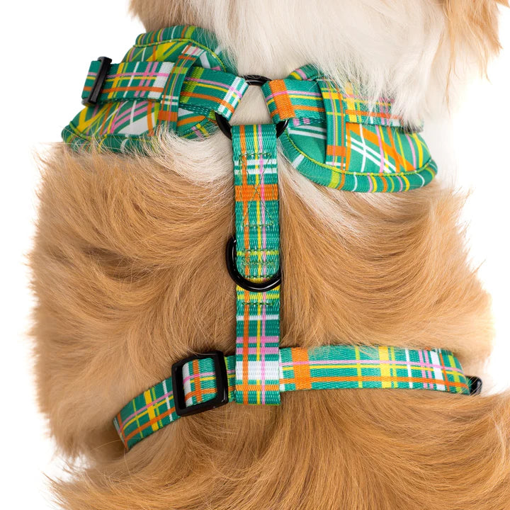 Groovy Grid: Adjustable Harness – Unveiling Poppy