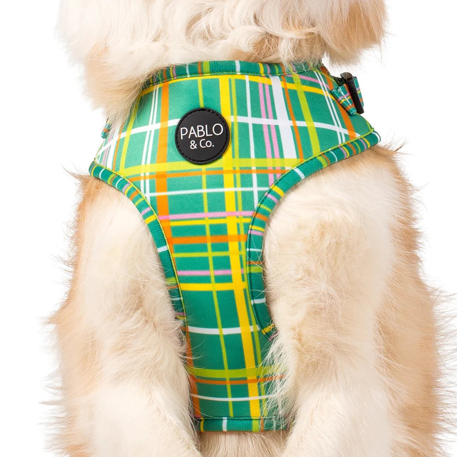 Pablo & Co Boutique | DOG ACCESSORIES – Unveiling Poppy