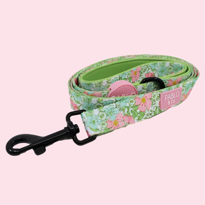 FLora & Fern Dog Leash | Pablo & Co – Unveiling Poppy