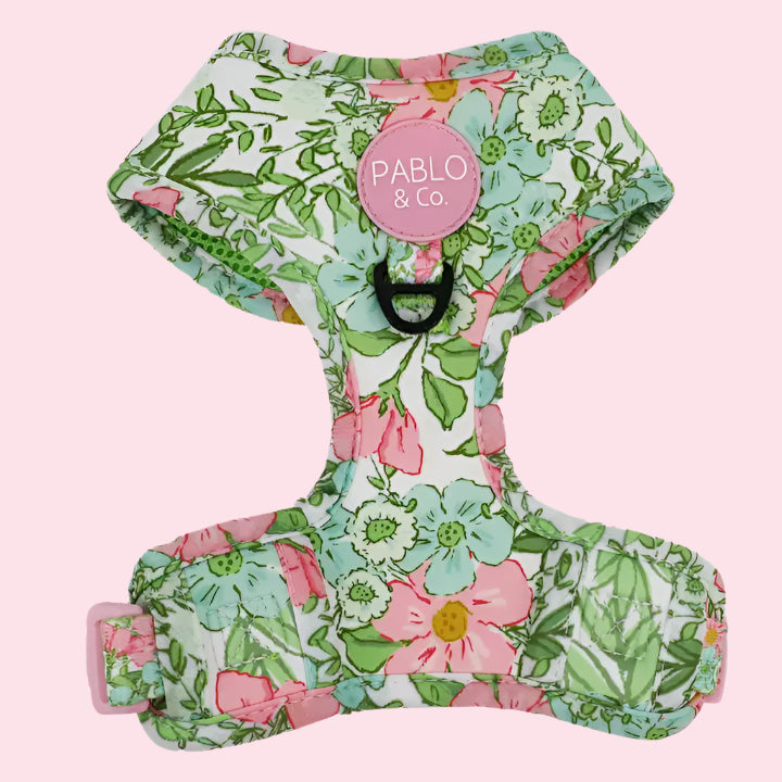 Flora & Fern Dog Harness | Pablo & Co. – Unveiling Poppy
