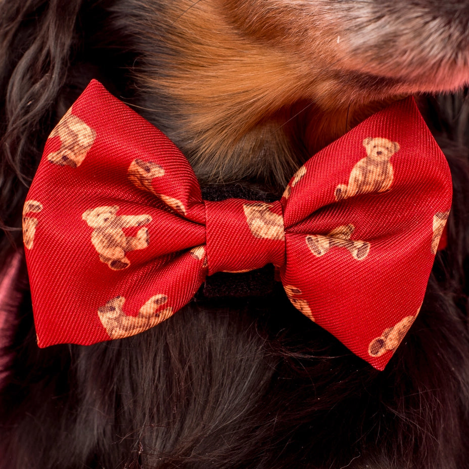 Henry Bear Bow Tie | Pablo & Co – Unveiling Poppy