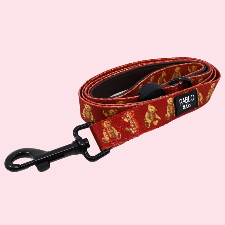 Henry Bear Dog Leash | Pablo & Co – Unveiling Poppy