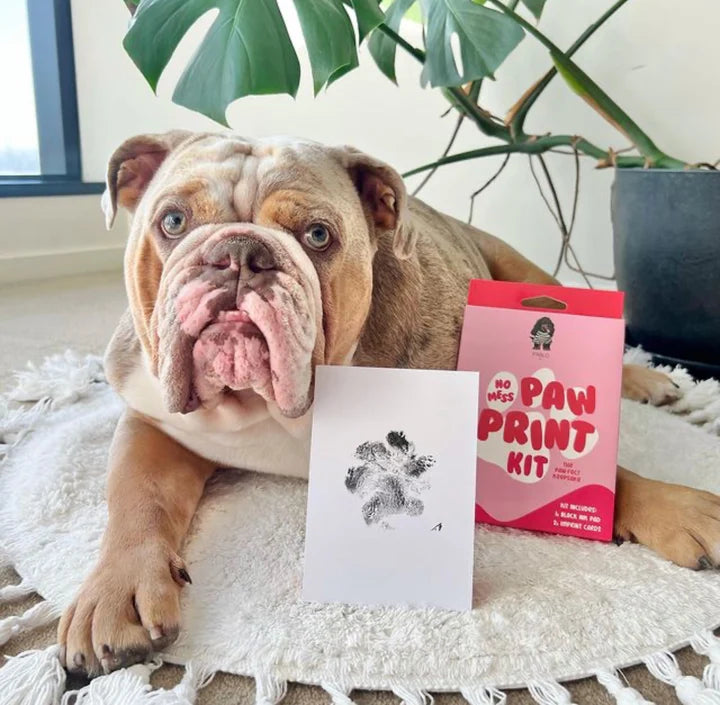 No Mess Paw Print Kit By Pablo & Co. – Unveiling Poppy